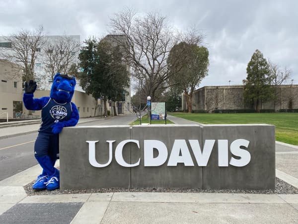 University of California-Davis - College Transitions