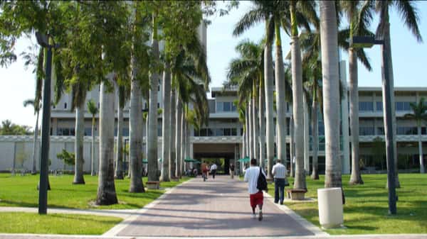 University of Miami - College Transitions