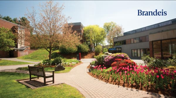 Brandeis University - College Transitions