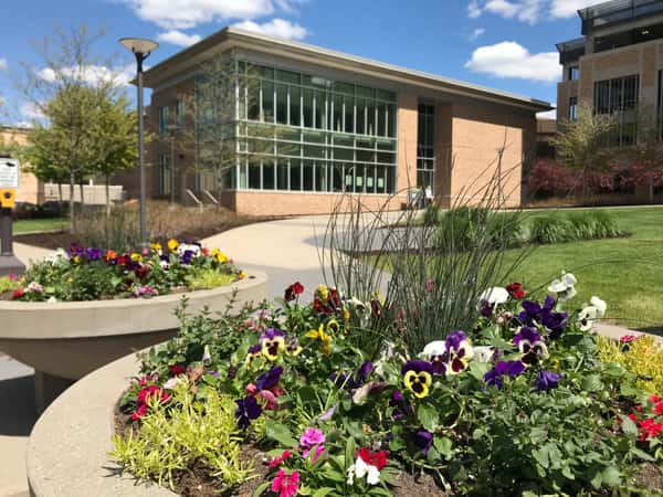 Metropolitan State University - College Transitions