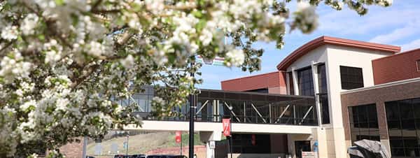 Minot State University - College Transitions