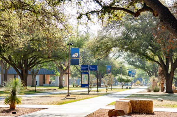 Angelo State University - College Transitions