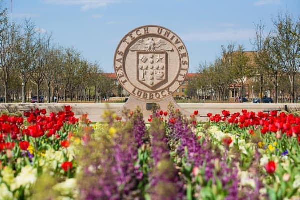 Texas Tech University - College Transitions